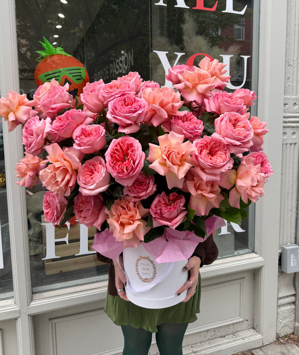 “Petals of Passion” Box (French Hermosa roses, pink expression garden ...